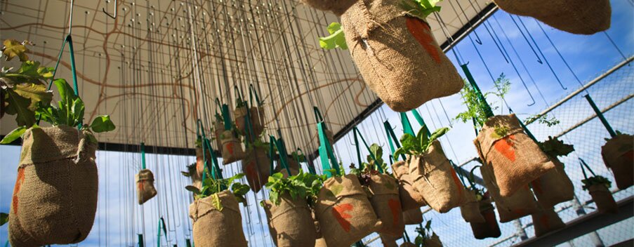 Emerging Terrain » Elevate