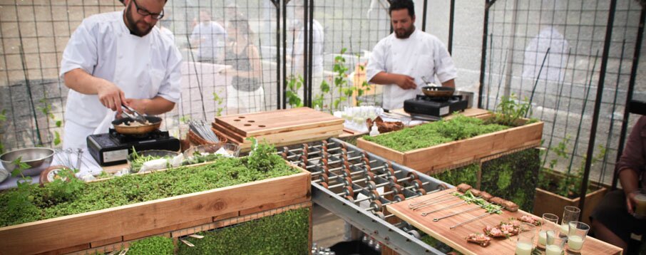 Emerging Terrain » Elevate